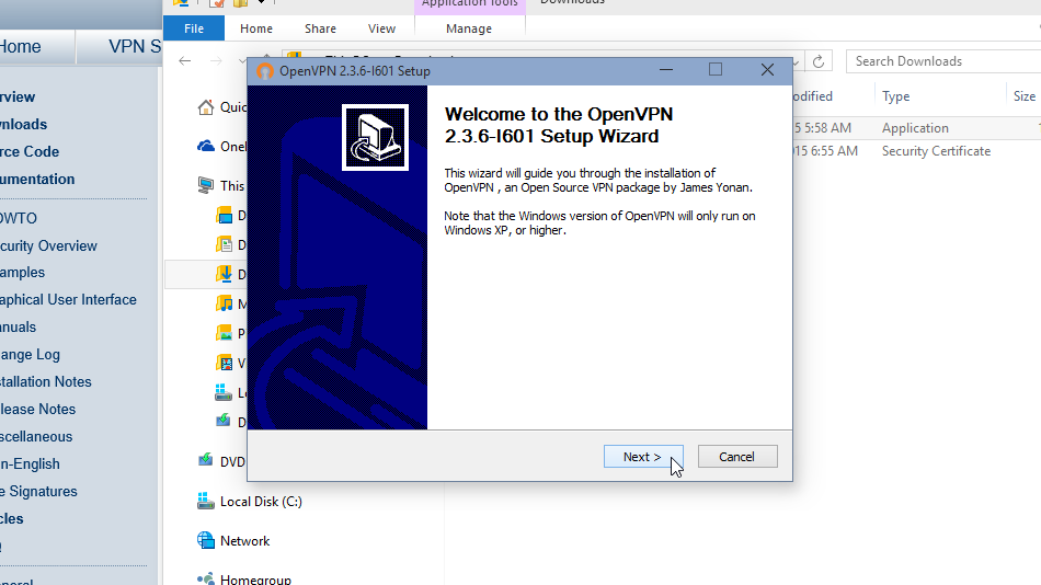 How to Configure VPN Connection for Windows 11 with OpenVPN Trust.Zone ...